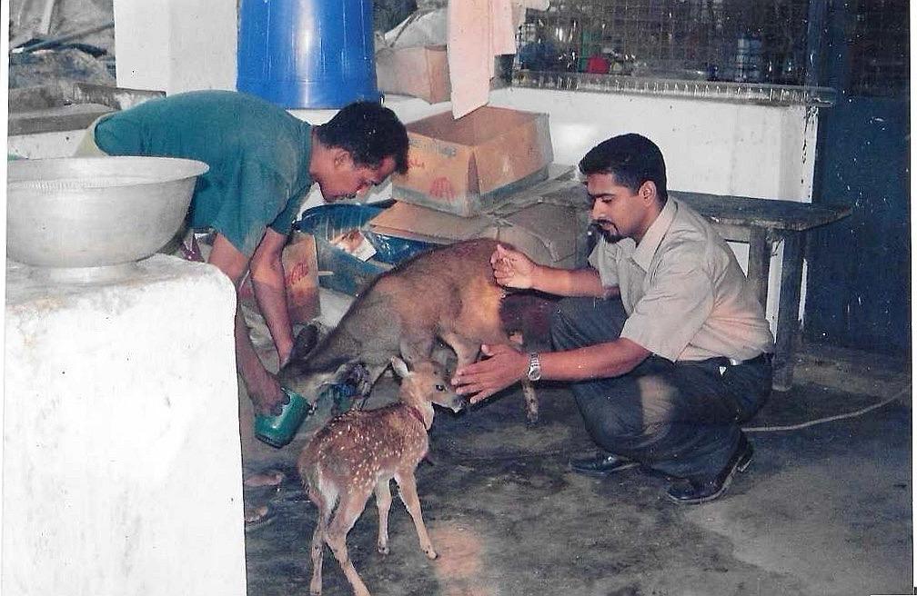 Home - Sudath Abeysinghe - Elephant Conservationist